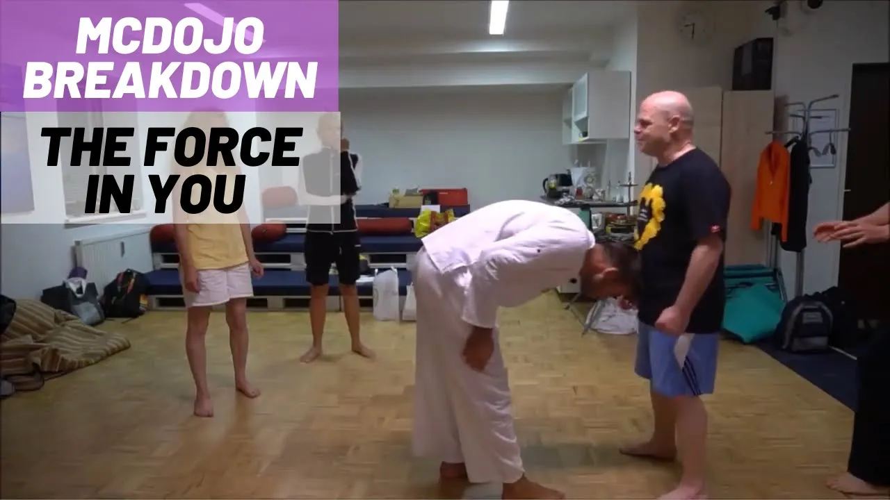 McDojo Breakdown: The Force In You